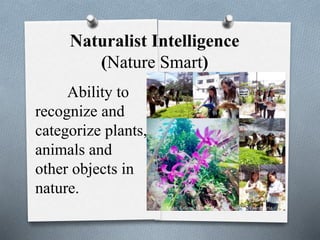 Howard Gardner’s Theory of Multiple Intelligences | PPTX