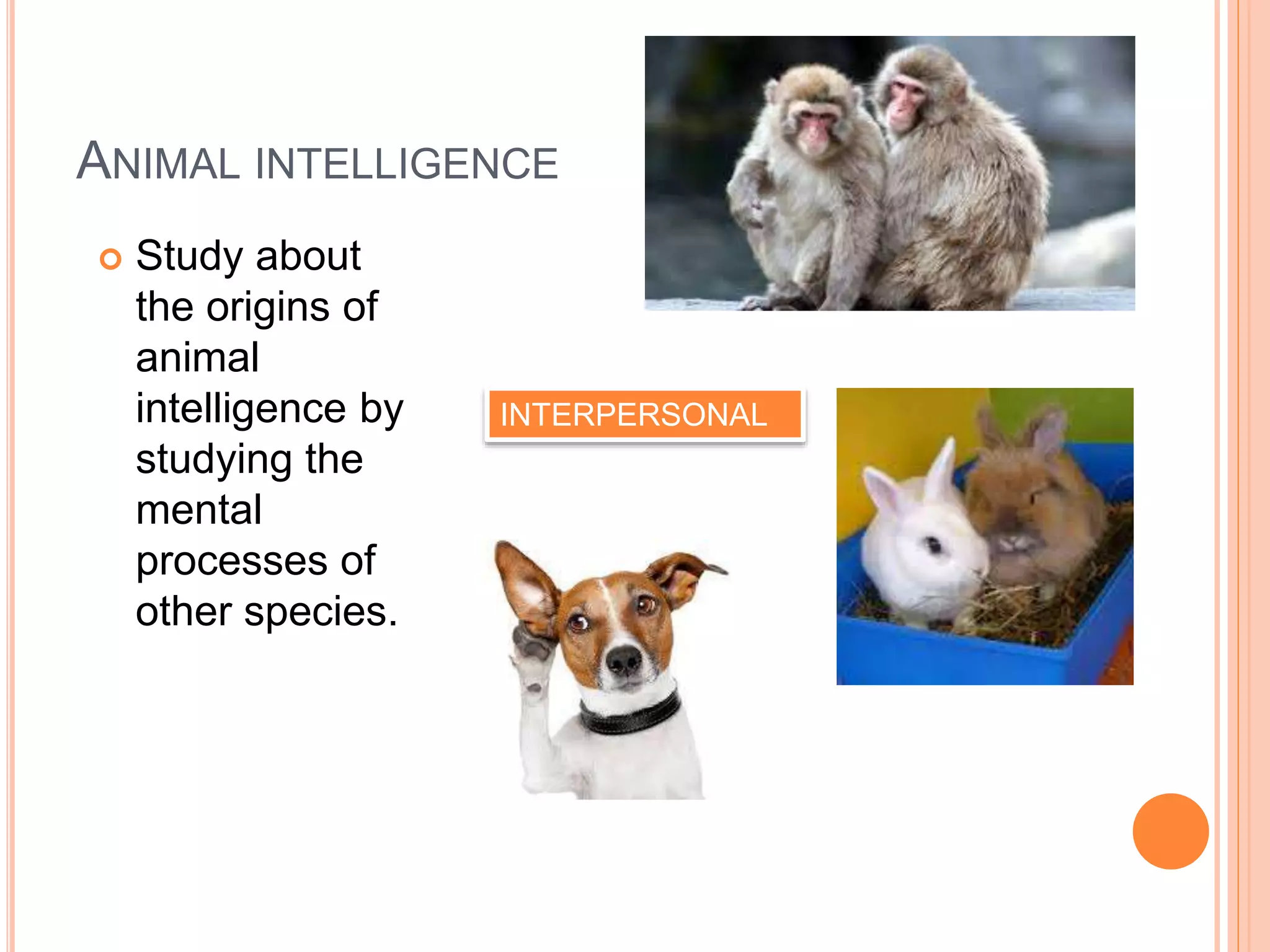 Multiple intelligences | PPT