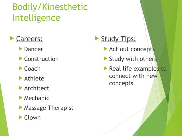Multiple Intelligences ppt BY Howard .ppt