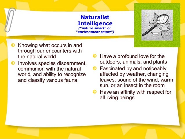 Multiple intelligences (1)