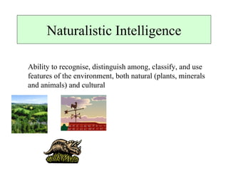 Multiple Intelligences V2 | PPT