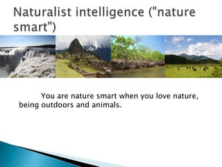 Multiple Intelligence Theory | PPT