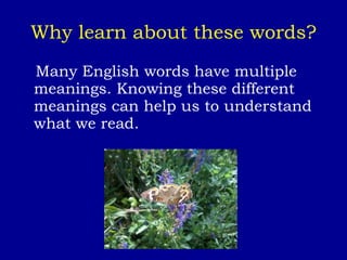 Multiple meaning words | PPT