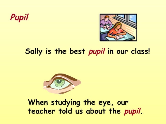 Multiple meaning words ppt. | PPT