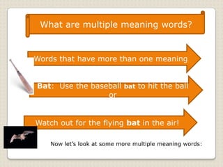 Multiple meaning words slide show | PPTX