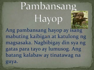 Pambansang Hayop