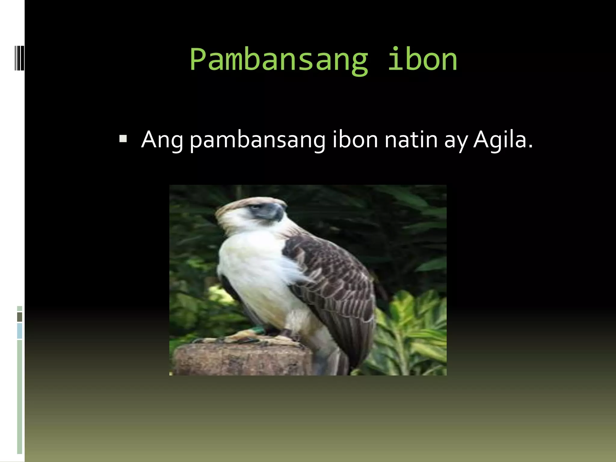 Multiple mouse sample pambansang sagisag | PPTX