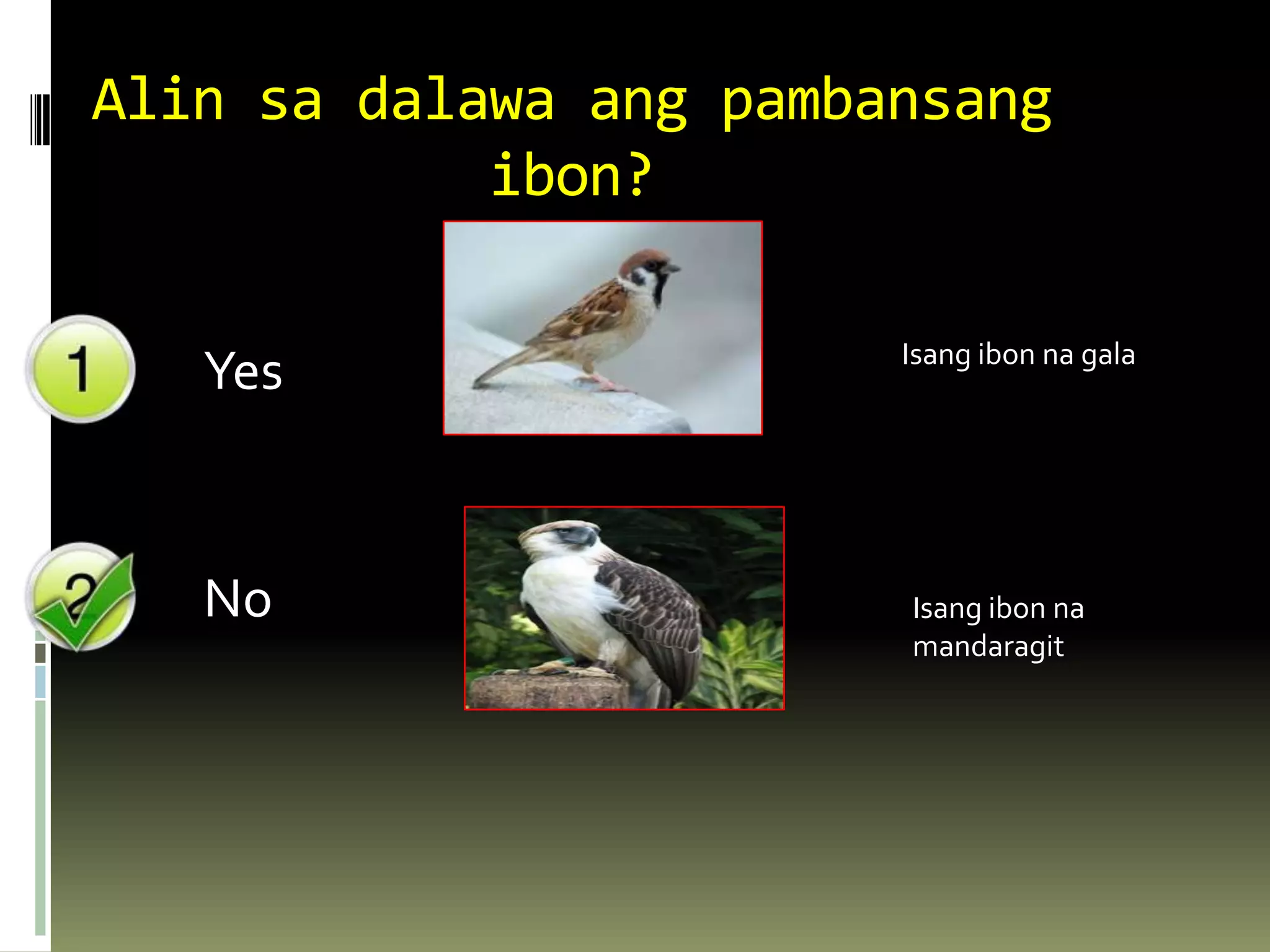 Multiple mouse sample pambansang sagisag | PPTX