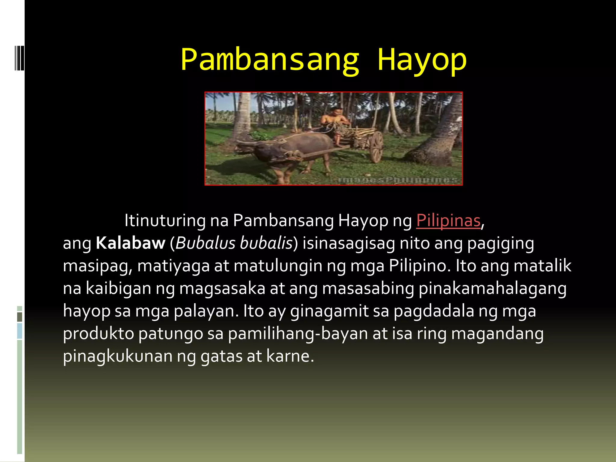 Multiple mouse sample pambansang sagisag | PPTX