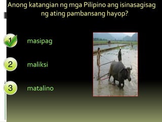 Multiple mouse sample pambansang sagisag | PPTX