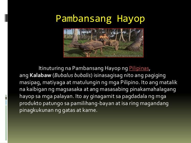 Pambansang Hayop