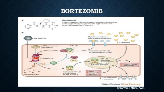 Multiple Myeloma