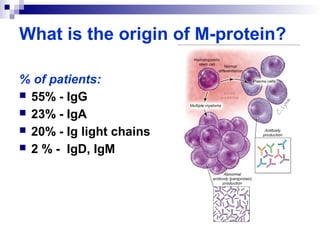 Multiple Myeloma | PPT
