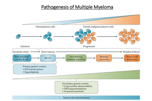 Multiple Myeloma -General Medicine, Medical Onchology | PPT