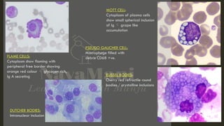 multiple myeloma exam notes .pptx