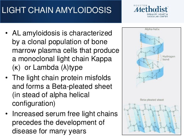 Multiple myeloma and al amyloidosis