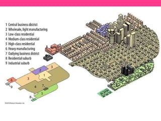 Multiple nucleii model | PPTX