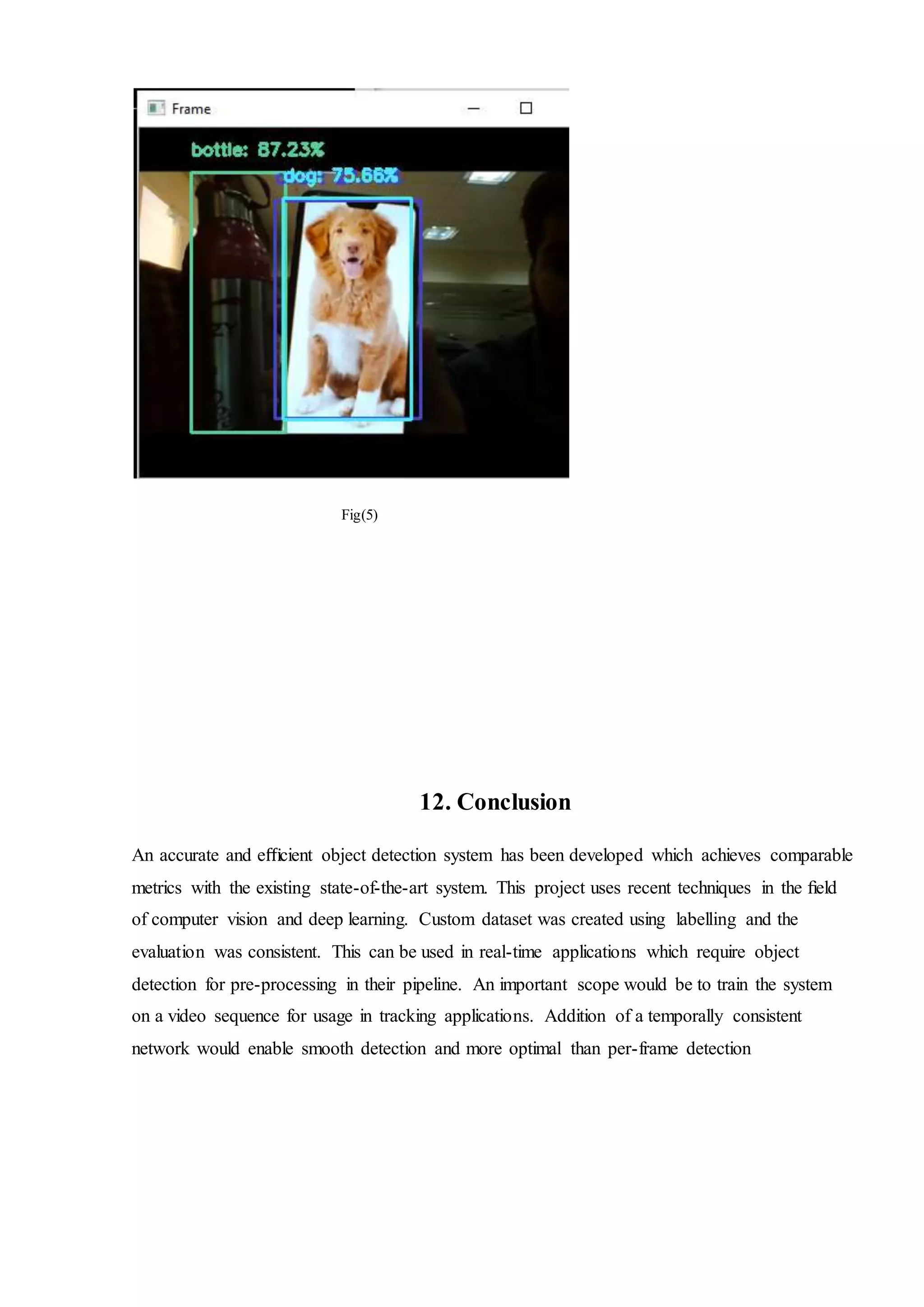 Multiple object detection report | DOCX