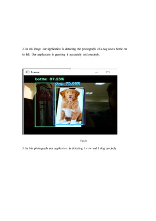 Multiple object detection report | DOCX