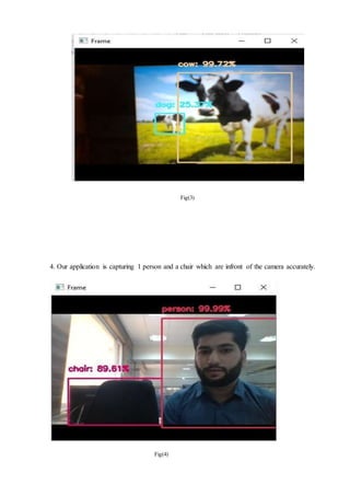 Multiple object detection report | DOCX