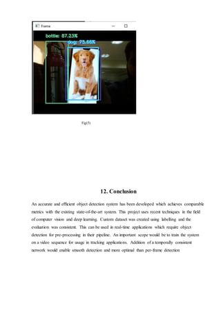 Multiple object detection report | DOCX