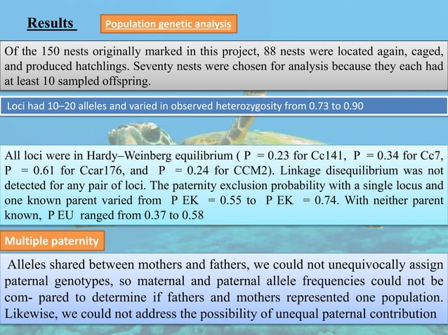Multiple paternity in loggerhead turtle ( caretta caretta | PPT