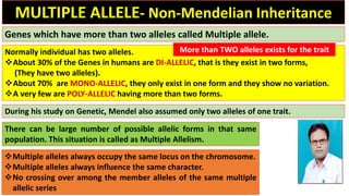 Multiple Alleles | PPTX