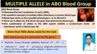 Multiple Alleles | PPTX