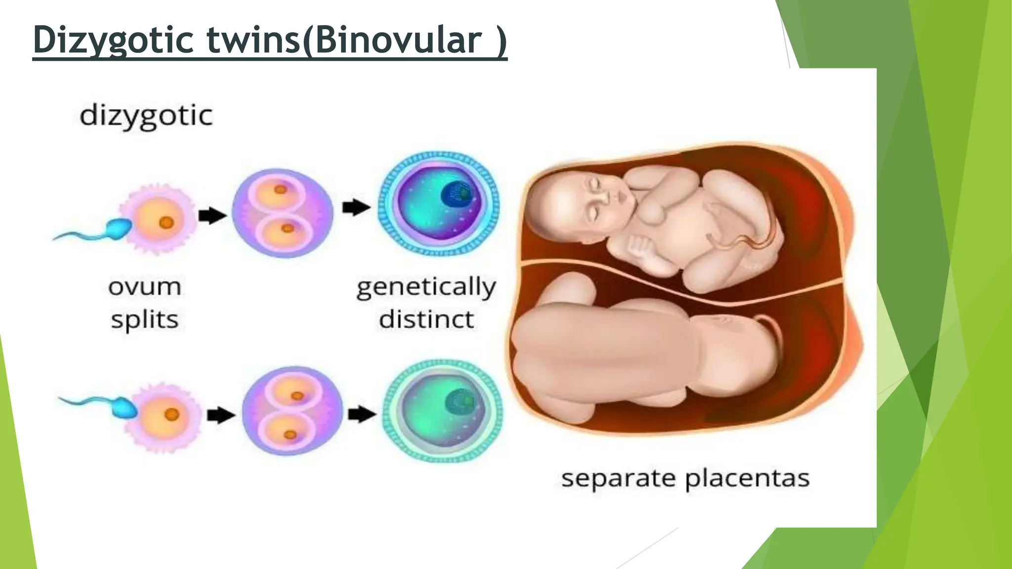 MULTIPLE PREGNANCY, obstetrics and Gynecologist.pptx