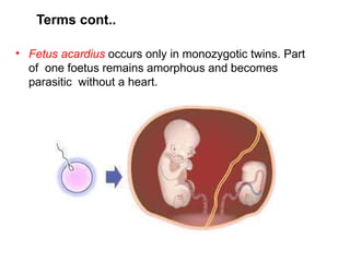 Multiple pregnancy including MCDA and MCMA.pptx | Pregnancy ...