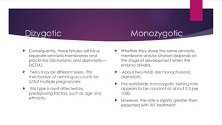 Twin/Multiple pregnancy (Obstetrics).ppt