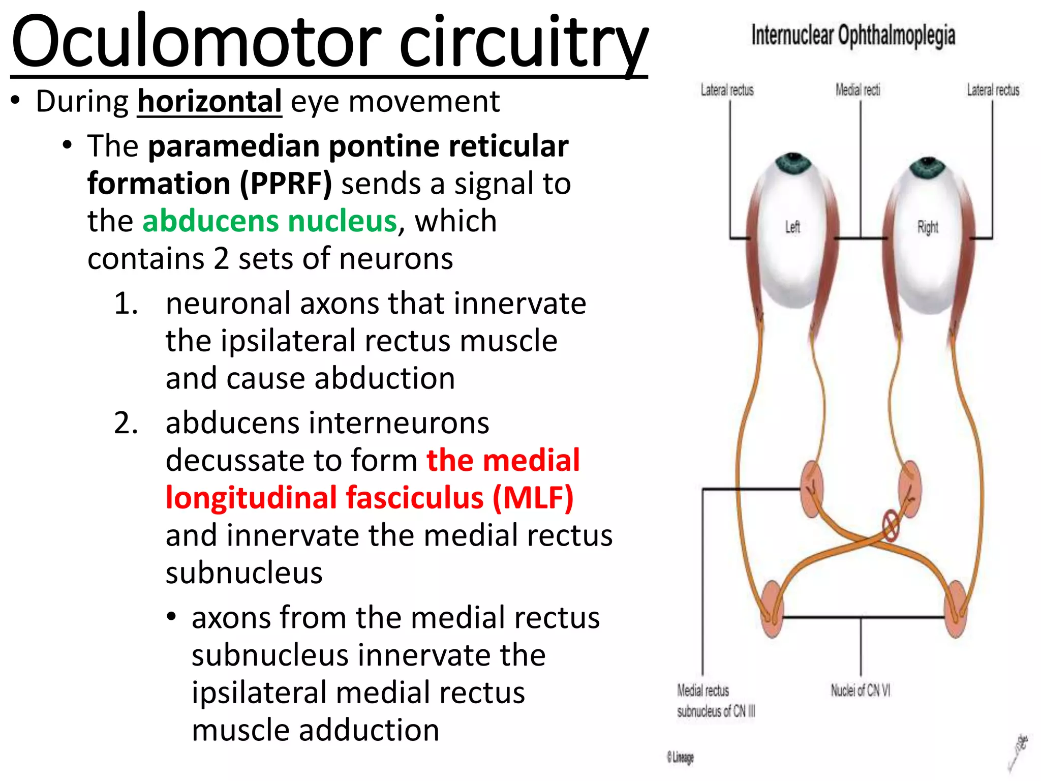 Multiple sclerosis.ppt