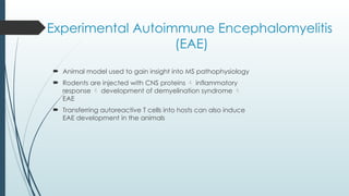 Multiple Sclerosis understanding of the pathophysiology | PPT