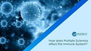 Multiple Sclerosis and the Immune System - Plexus | PPT