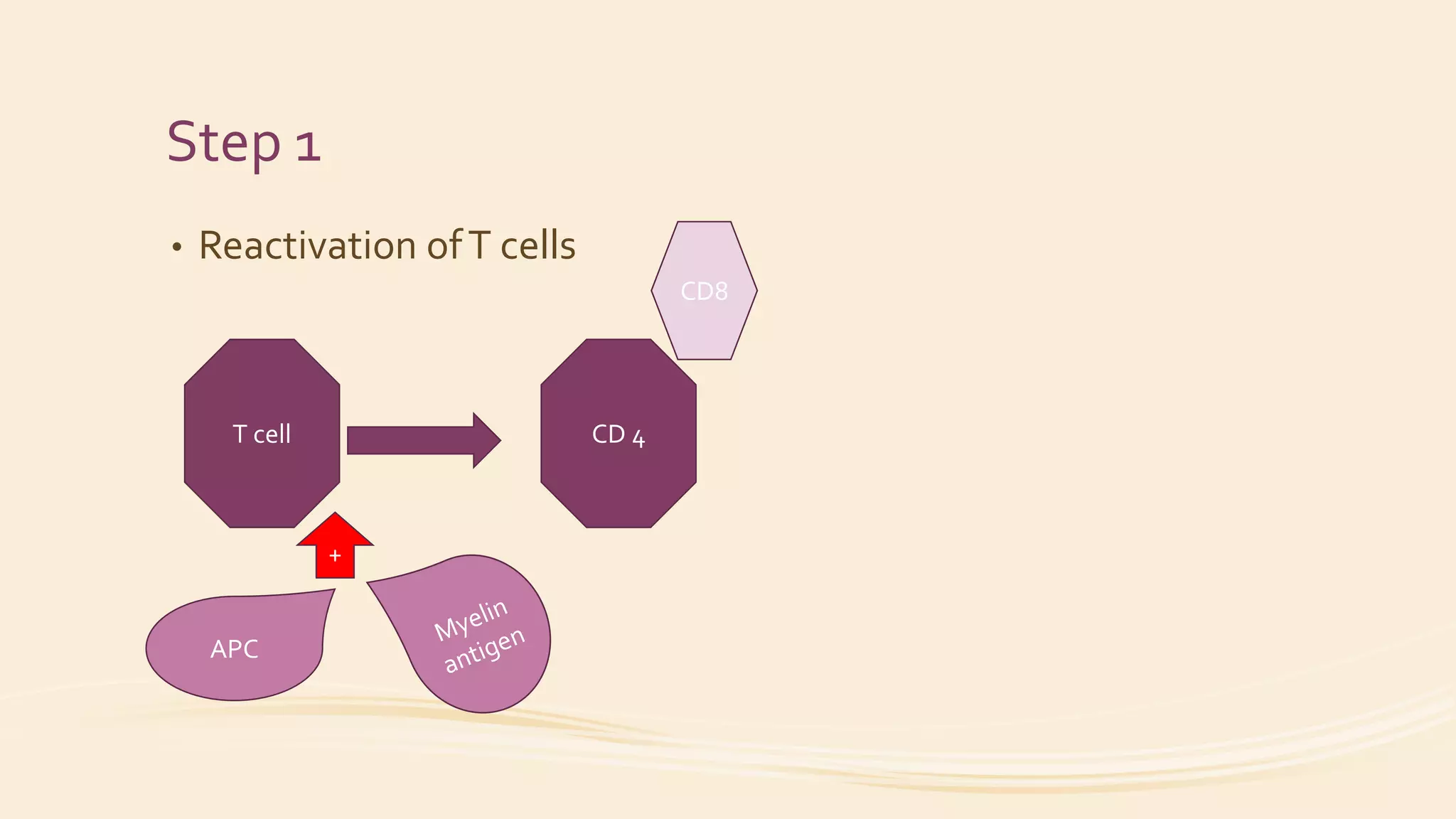 Multiple sclerosis, pathogenesis | PPTX