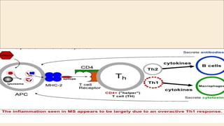 Multiple sclerosis, pathogenesis | PPTX | Brain and Nervous System ...