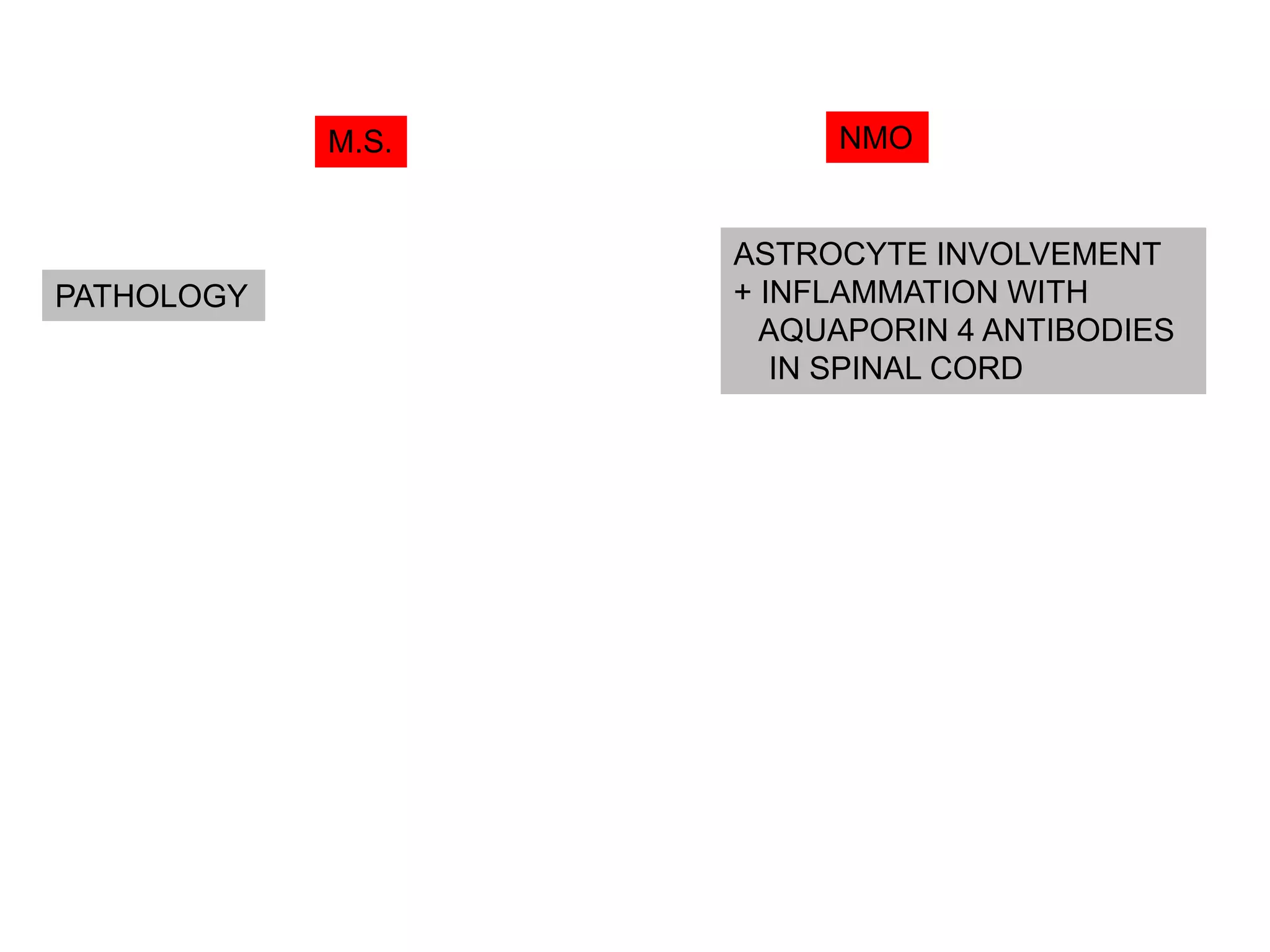 Multiple sclerosis vs neuromyelitis optica important differences | PPT