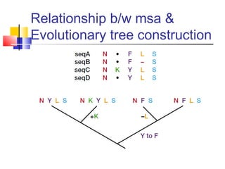 Multiple sequence alignment | PPT