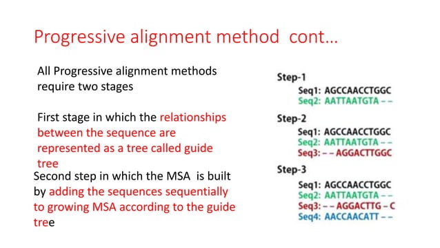 Multiple sequence alignment | PPT