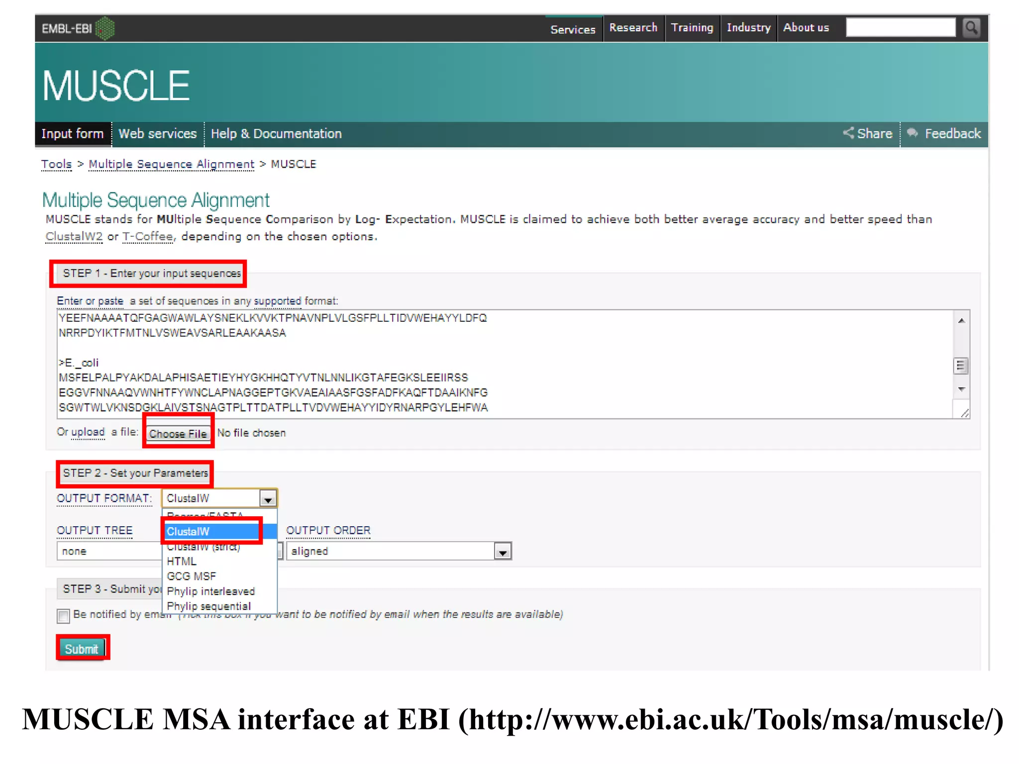 Multiple sequence alignment | PPTX