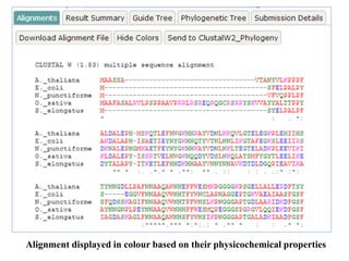 Multiple sequence alignment | PPTX