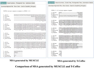 Multiple sequence alignment | PPTX