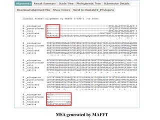 Multiple sequence alignment | PPTX