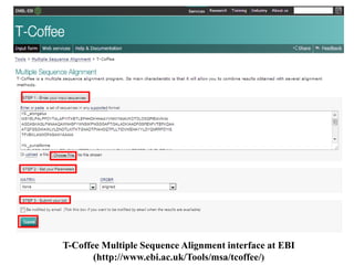 Multiple sequence alignment | PPTX