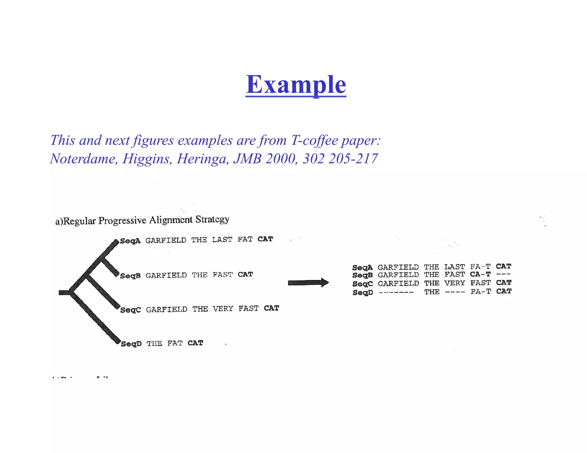 Multiple sequence alignment | PDF | Programming Languages | Computing