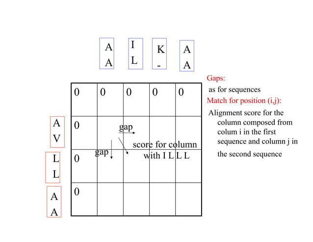 Multiple sequence alignment | PDF | Programming Languages | Computing