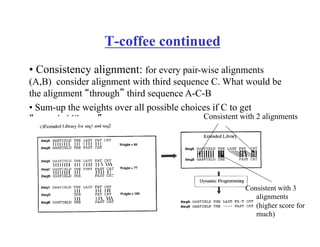 Multiple sequence alignment | PPT