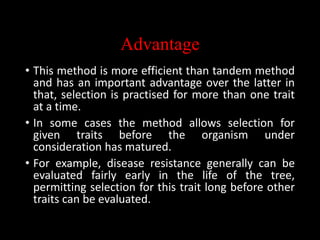 Multiple trait selection | PPTX