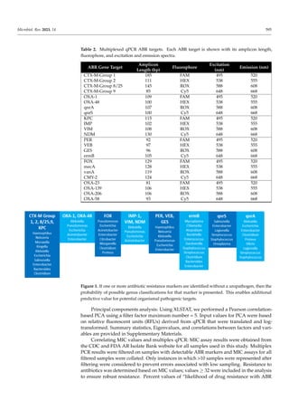 Multiplex Detection of Antimicrobial Resistance Genes.pdf
