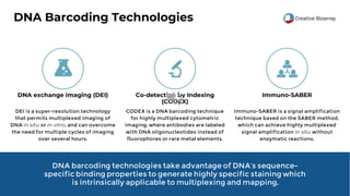 Multiplexing Immunohistochemistry: A Powerful Tool for Comprehensive Tissue Analysis | PPT